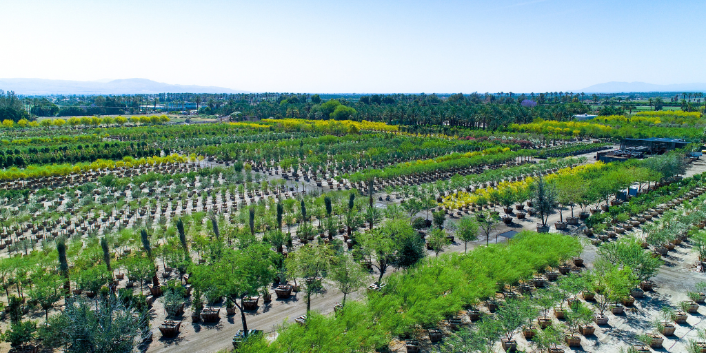 Moon Valley Nursery Design at Rodney Hickman blog